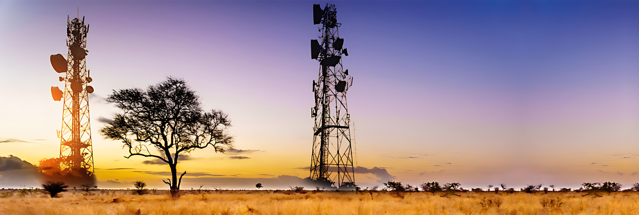 Telecommunications - ESCCOM - Eswatini Communications Commission
